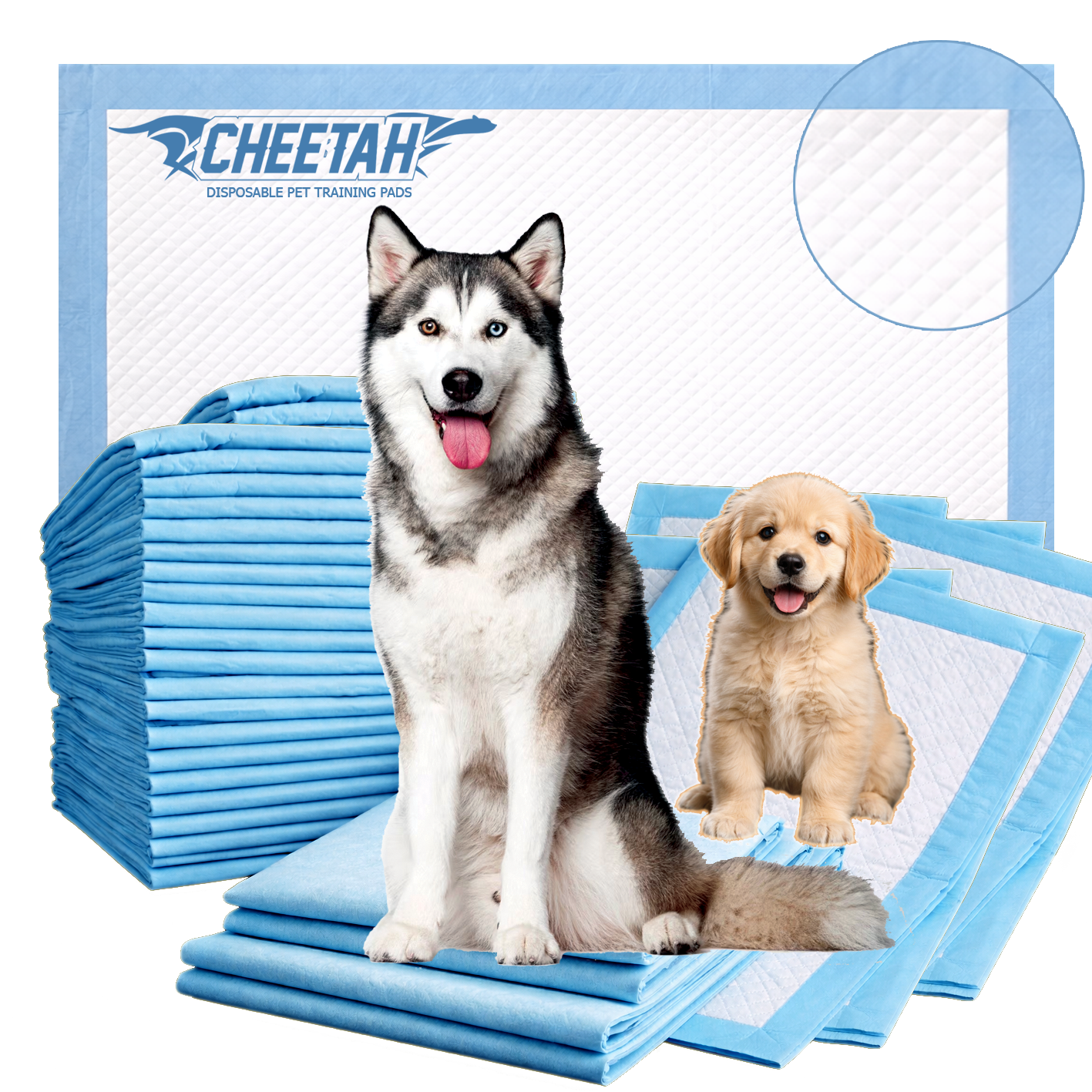 Pee Pads for Older Dogs UAE – XL, Leak-Proof
